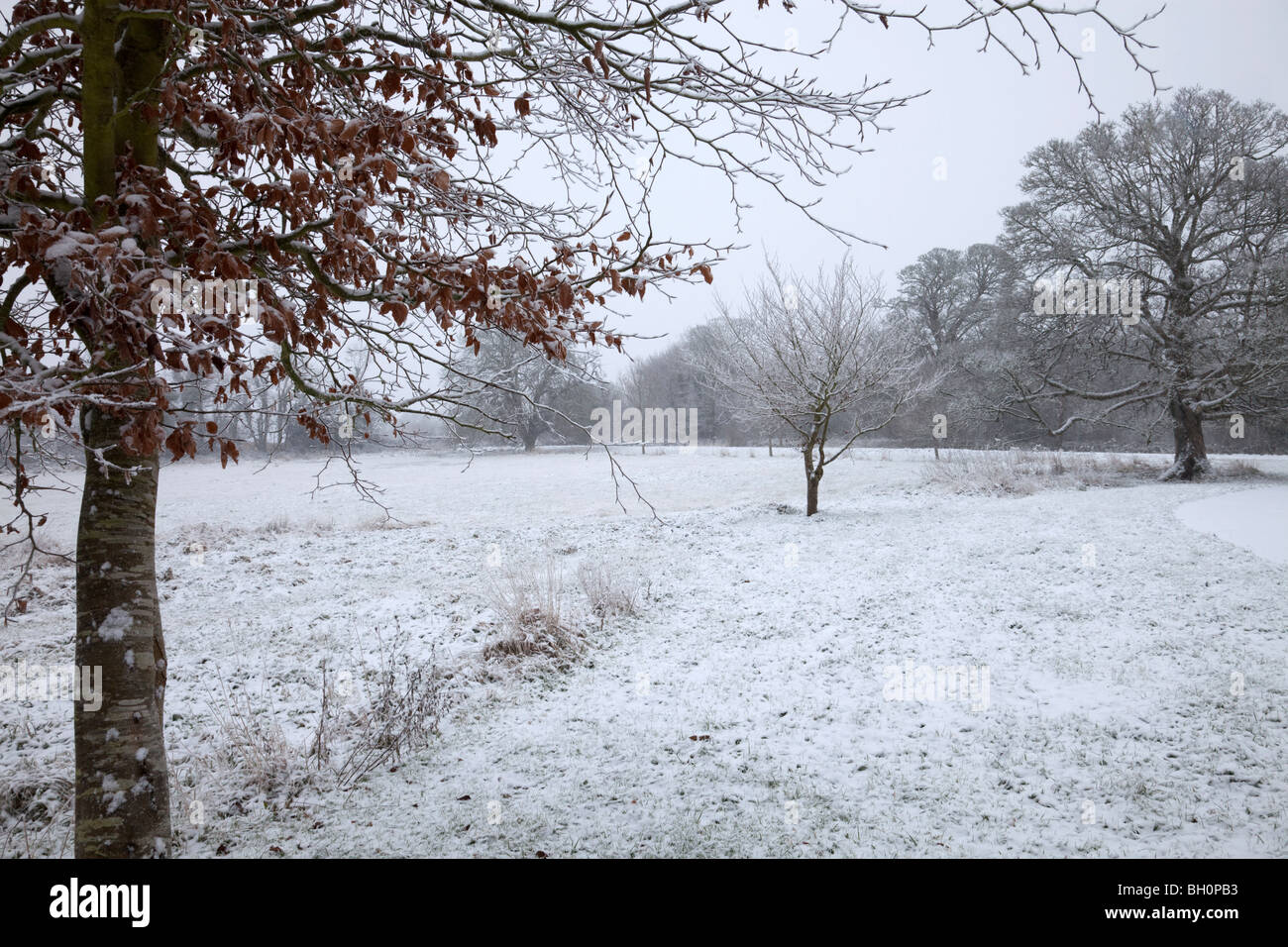 Winter Landscape, Ireland Stock Photo - Alamy