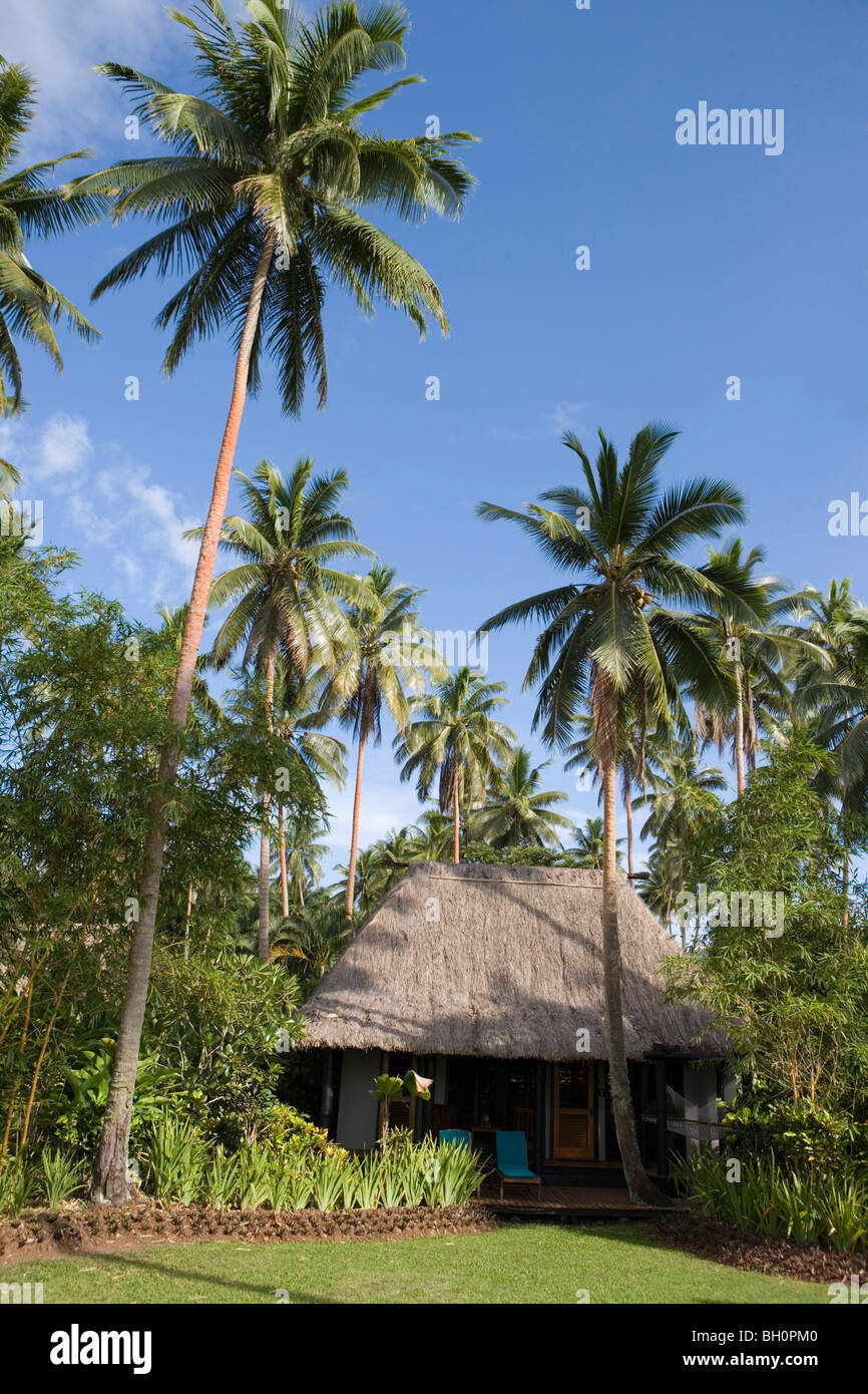 Palm tree hut hi-res stock photography and images - Alamy