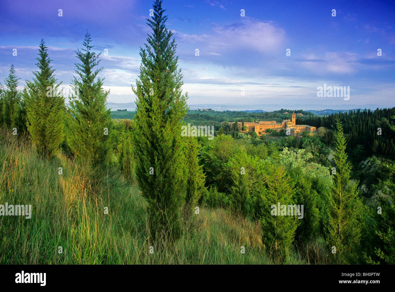 Monte Oliveto Maggiore abbey, Tuscany, Italy, Europe Stock Photo - Alamy
