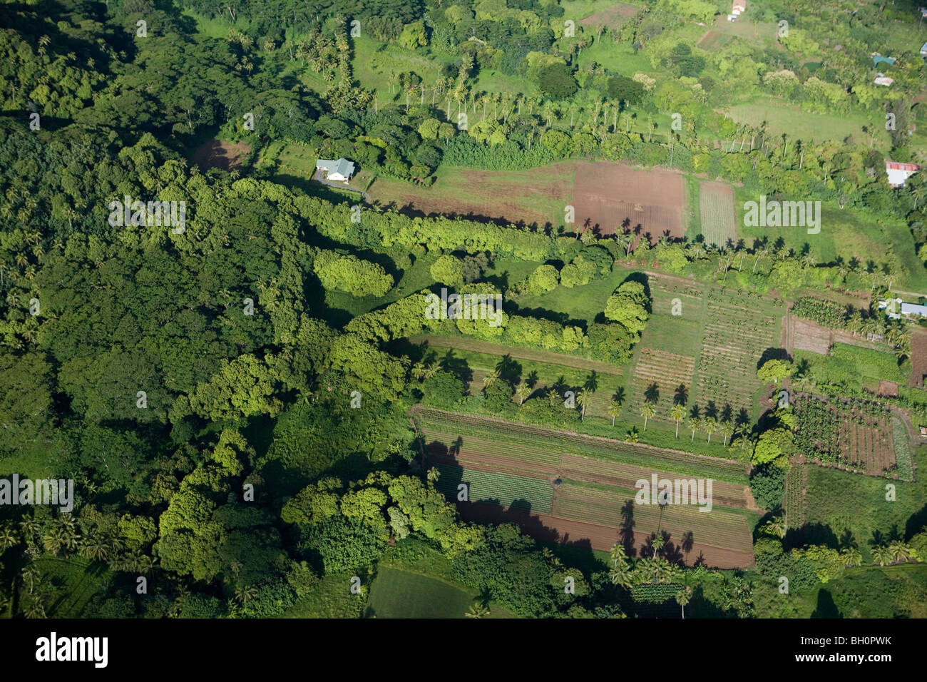 Aerial view of green landscape on the island, Rarotonga, Cook Islands ...