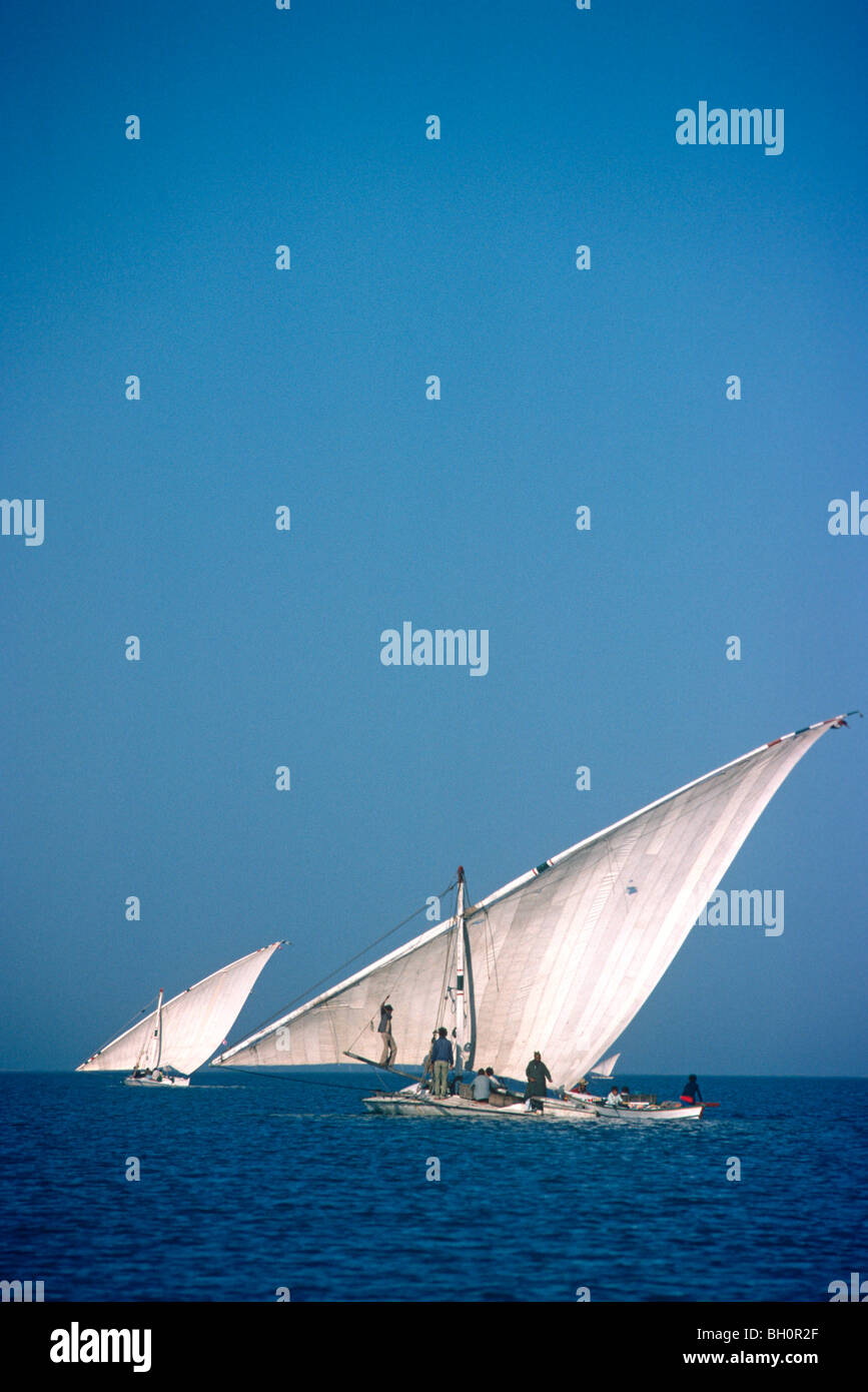 Fishing boat with lateen sail on Egypt's Lake Manzala. In background ...
