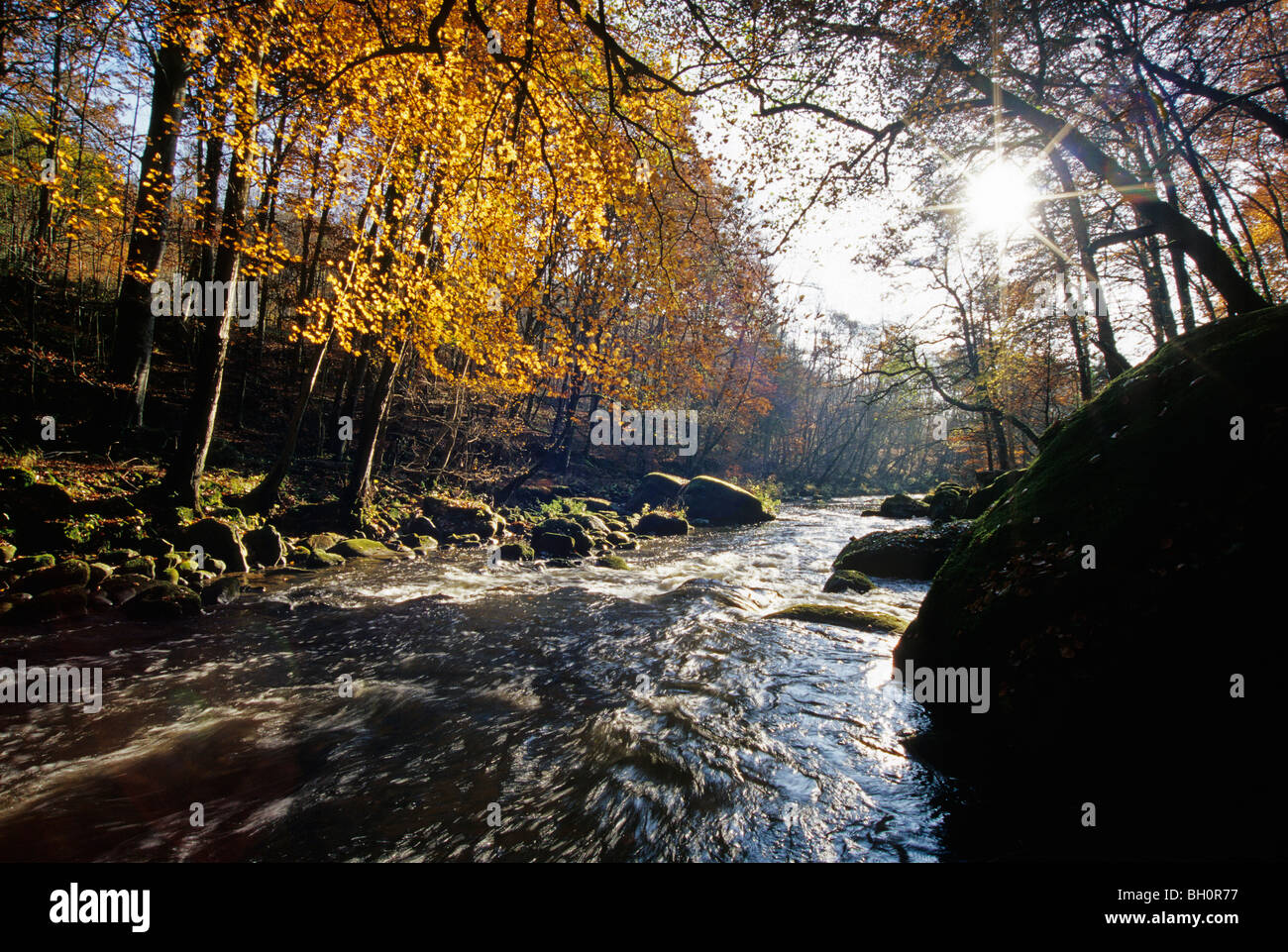 Irrel waterfalls, cataracts of Pruem river, near Irrel, Eifel ...