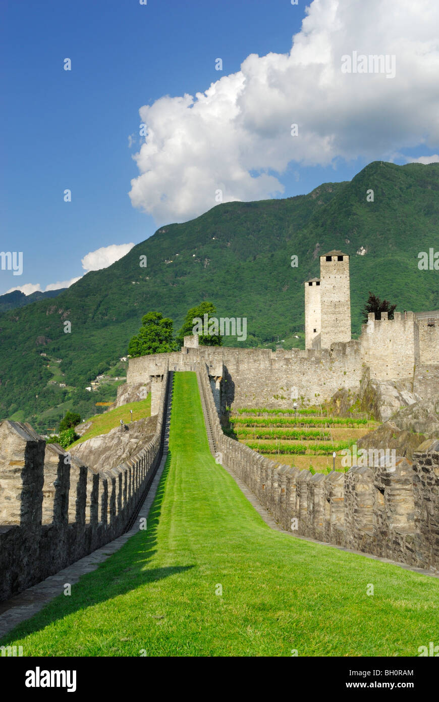 Castle Castelgrande with defence walls, towers Weisser Turm and ...