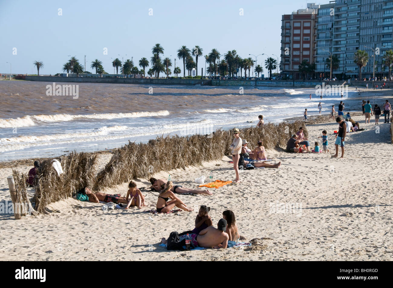 Uruguay. People sunbathing at Pocitos beach in Montevideo Stock Photo ...