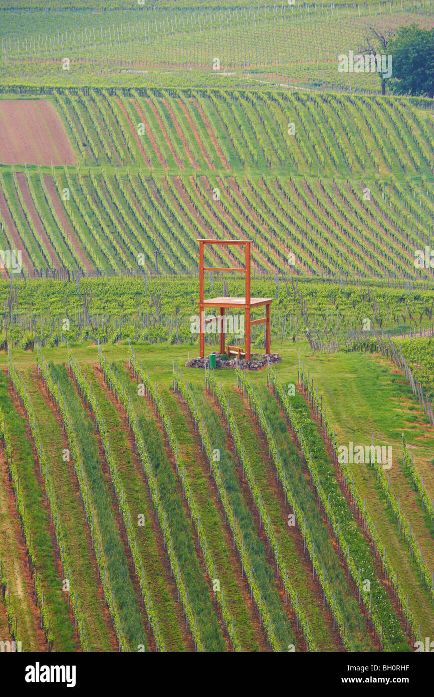 Vineyards at Leiselheim, Leiselheimer Gestuehl, Spring, Day ...