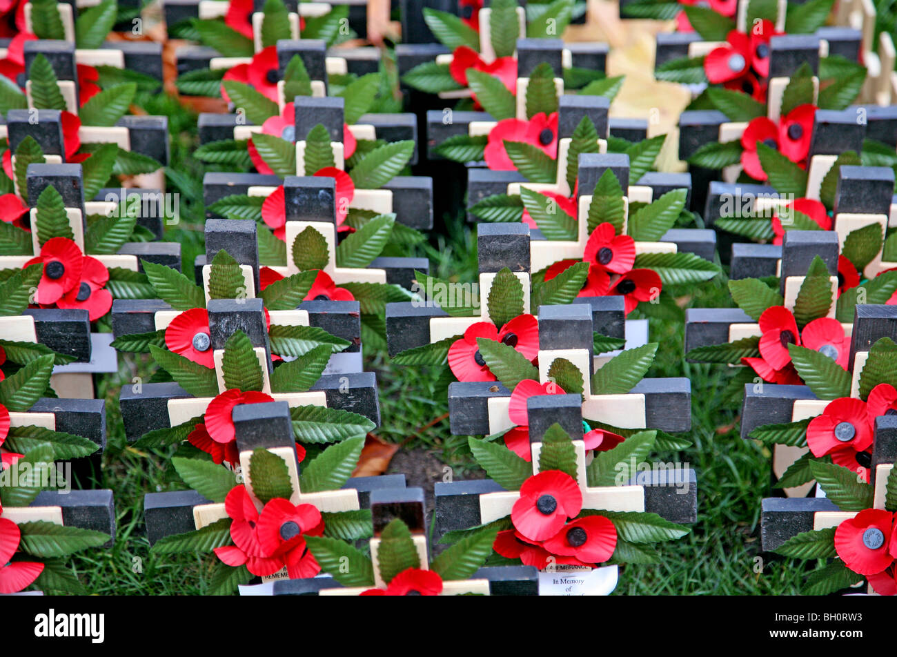 Westminster field of remembrance hi-res stock photography and images ...
