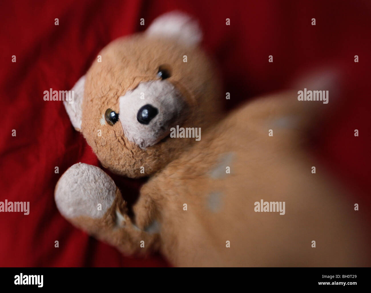 Cuddly bear hi-res stock photography and images - Alamy