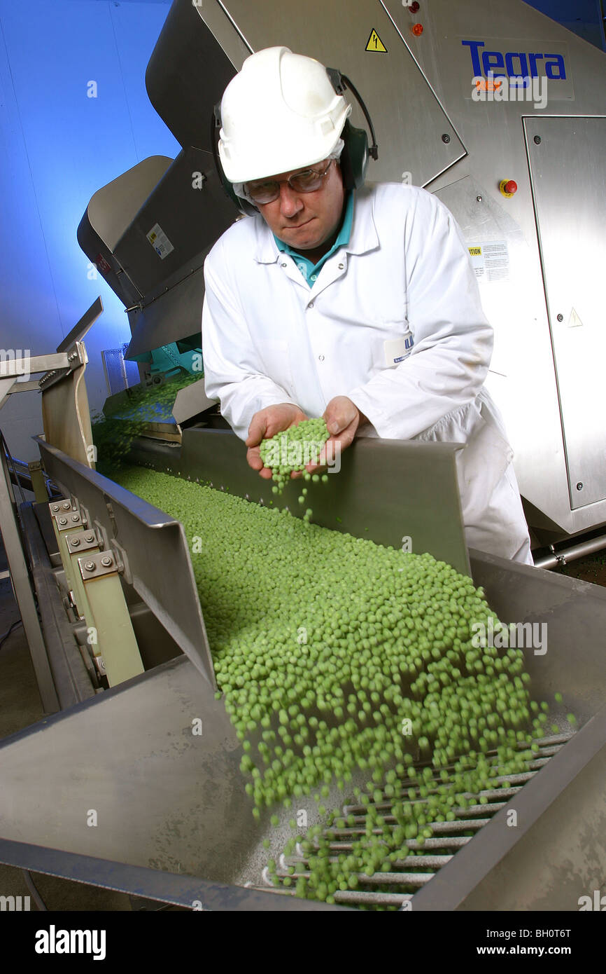 Vegetable processing industry hi-res stock photography and images - Alamy