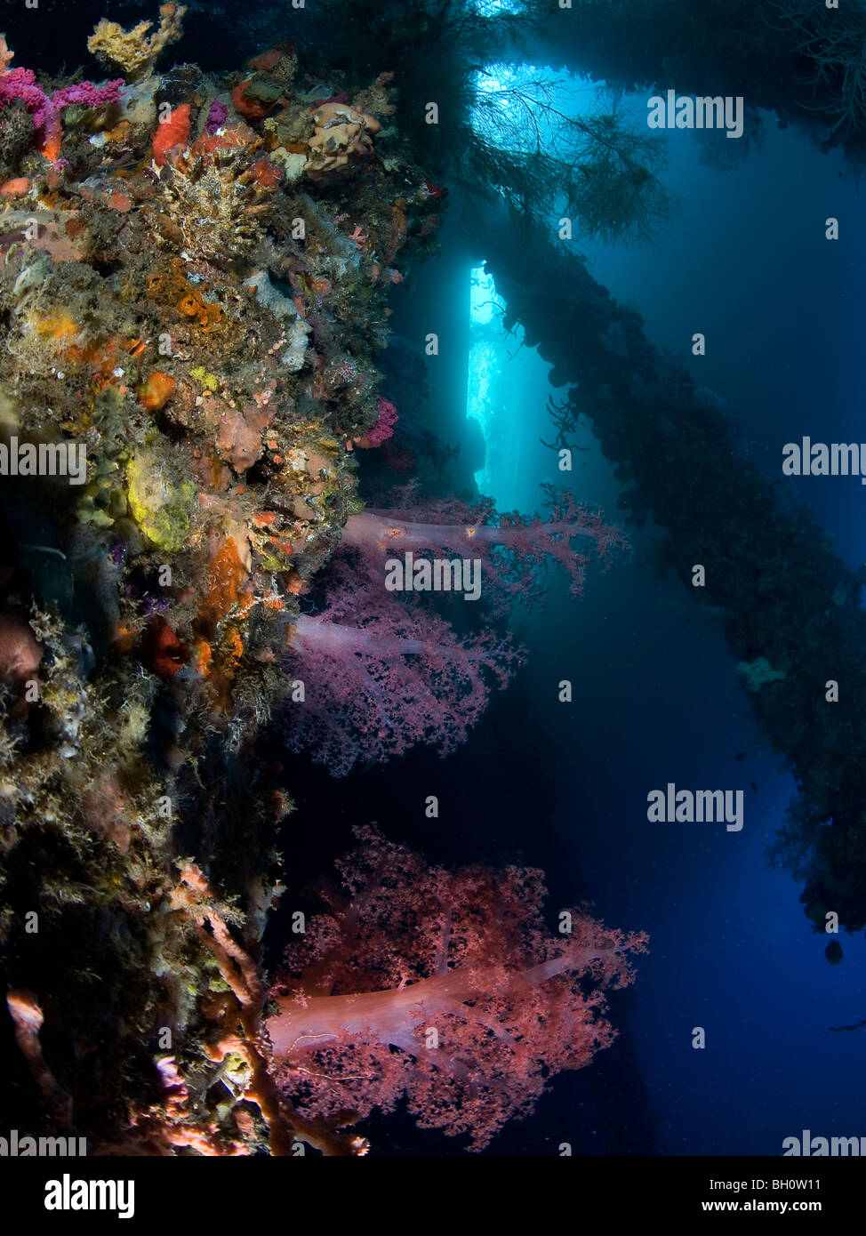 Bahura Resort Negros Oriental Philippines Stock Photo - Alamy