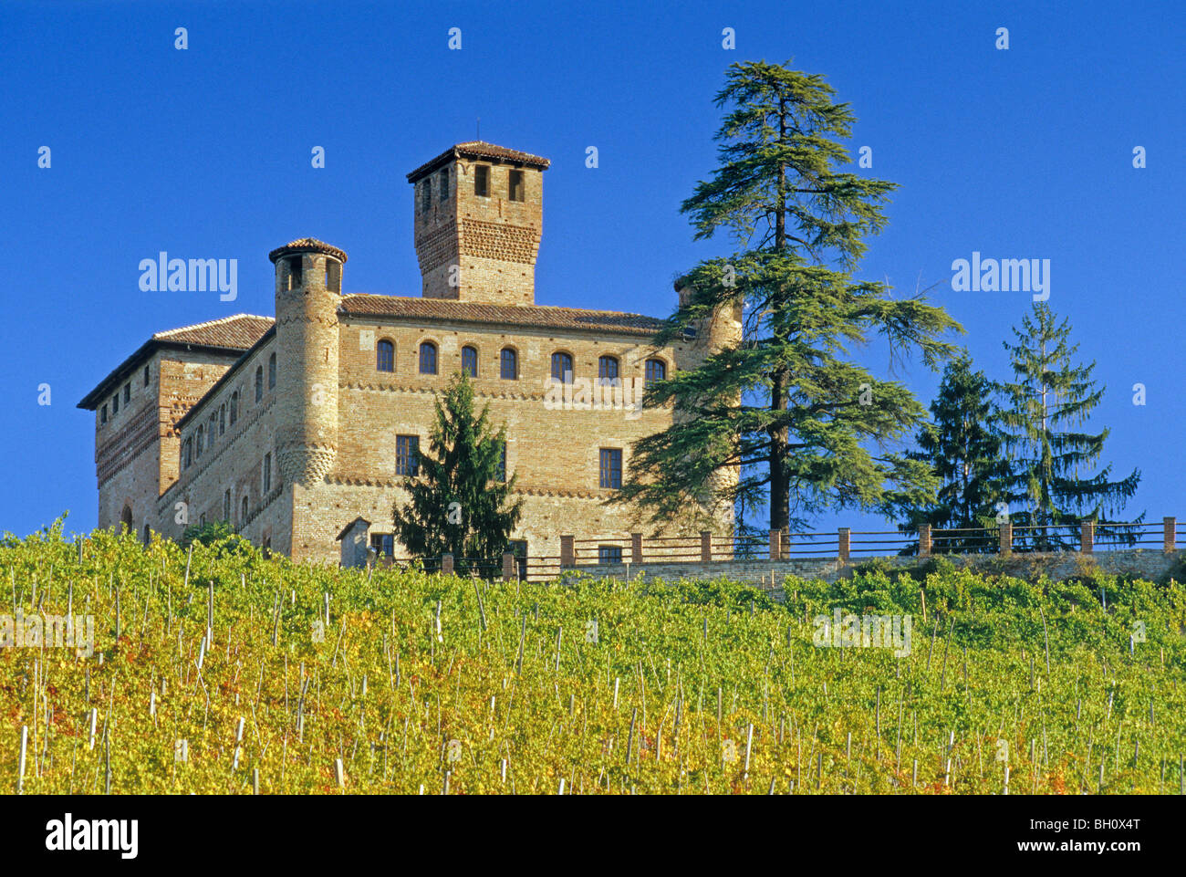 Vineyard and Castello Grinzane Cavour under blue sky, Piedmont, Italy ...
