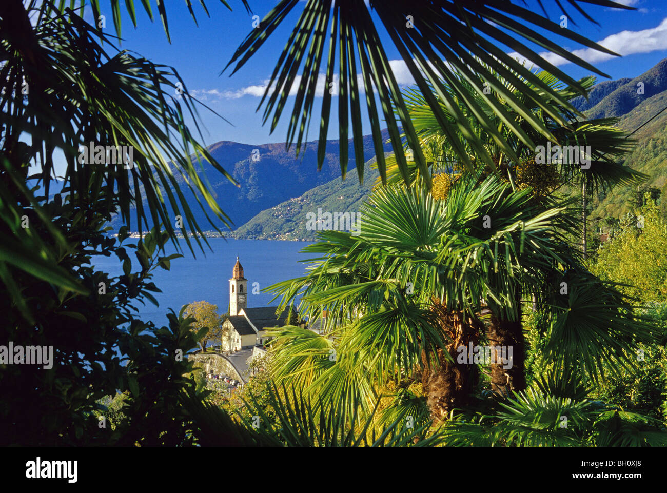 Switzerland ticino ronco lago maggiore hi-res stock photography and ...