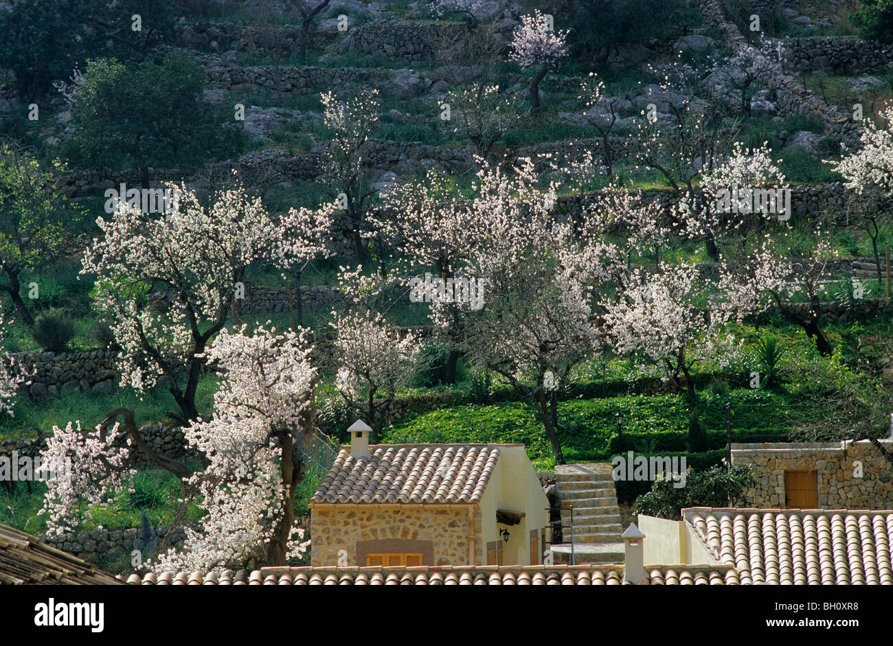 Caimari majorca hi-res stock photography and images - Alamy