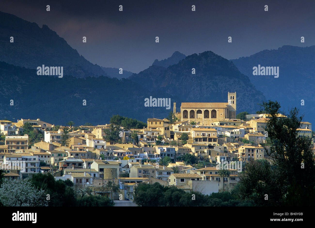 Europe, Spain, Majorca, Selva Stock Photo - Alamy