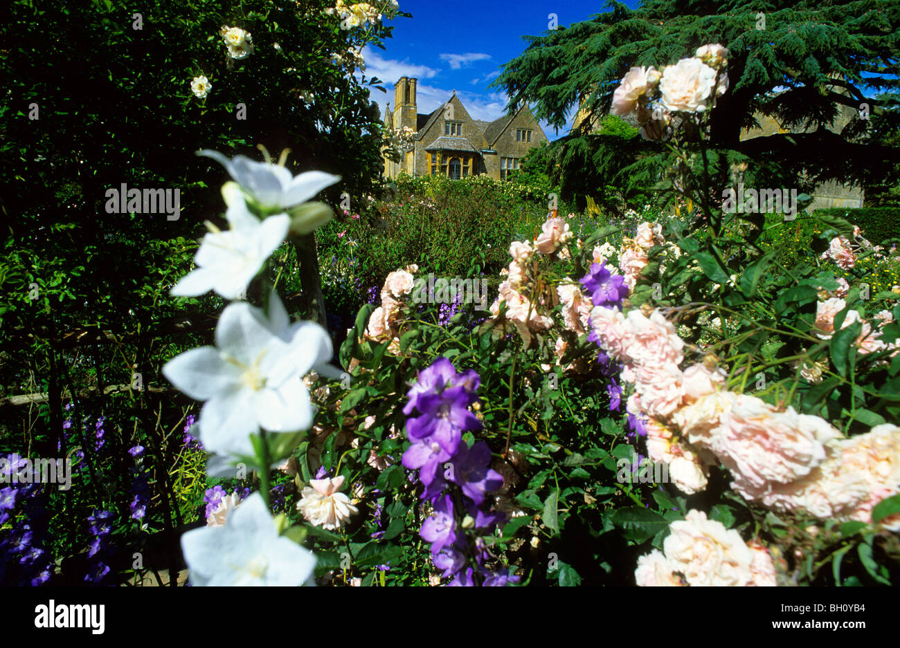 Hidcote manor garden cotswolds gloucestershire hi-res stock photography ...