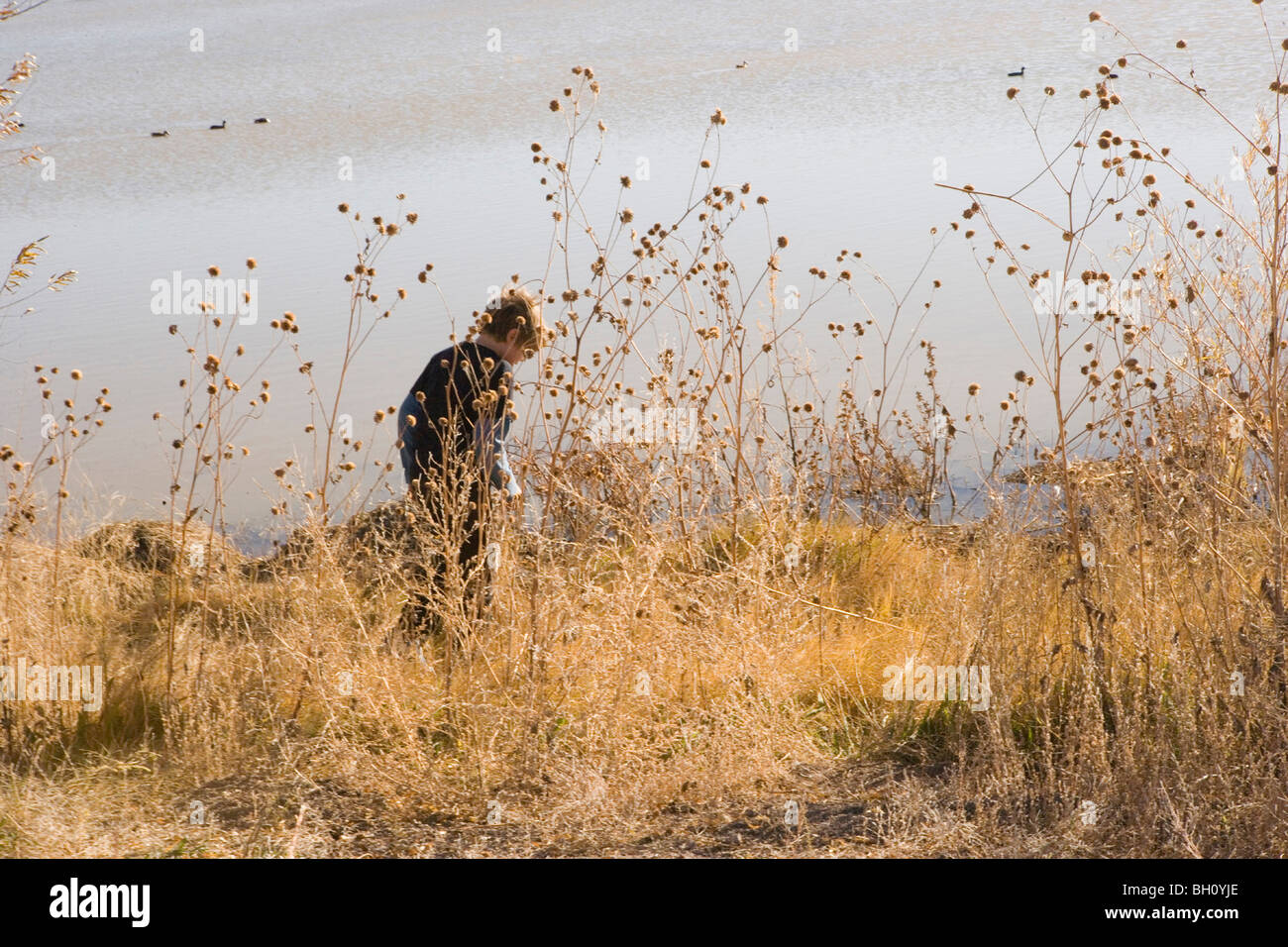 portrait of an eight year old boy walking around bosque del apache ...