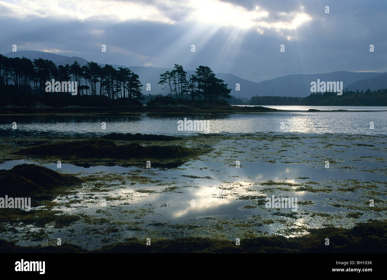 Europe, Great Britain, Ireland, Co. Kerry, Beara peninsula, Kenmare ...