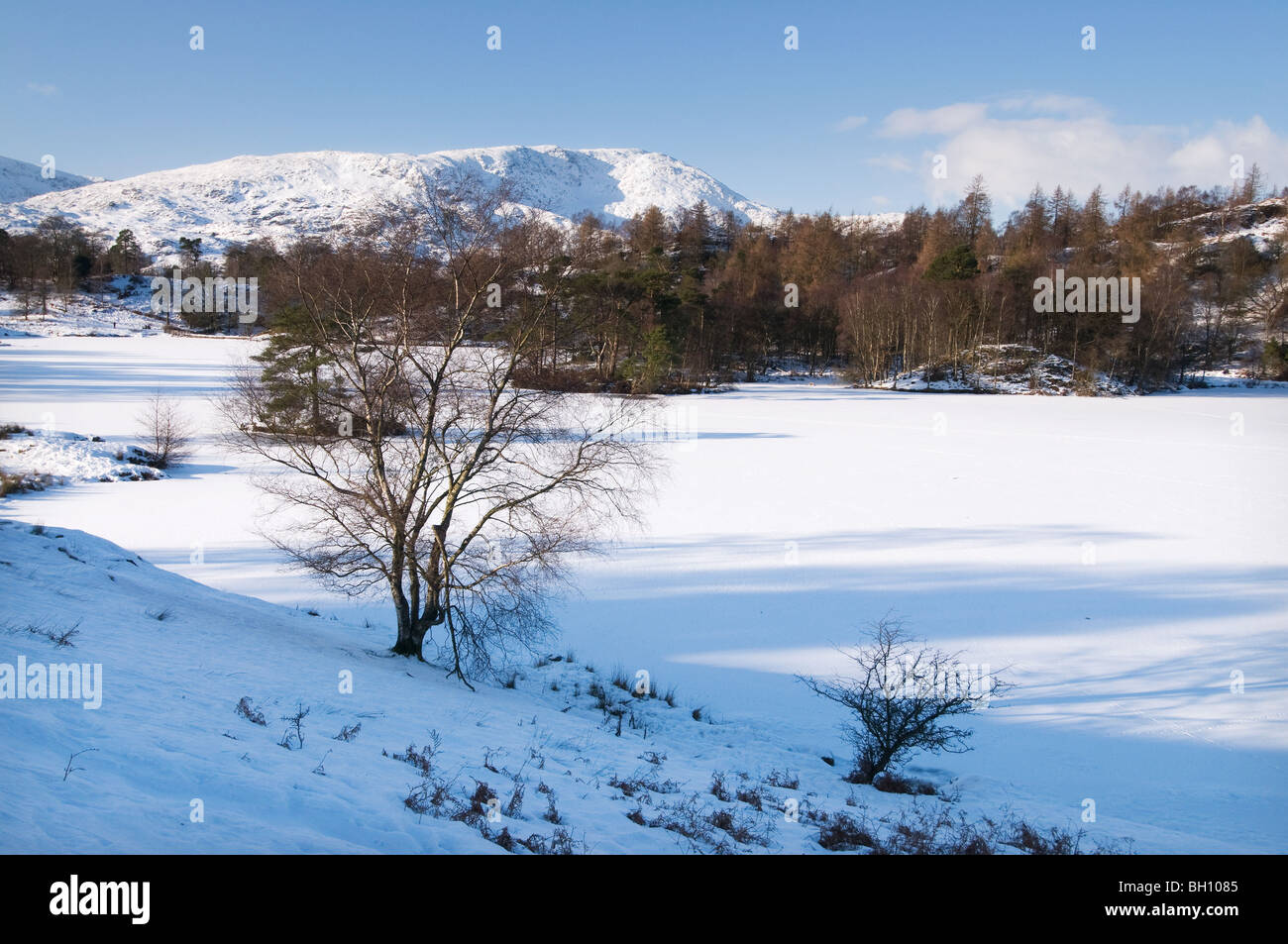 Tarn hows, cumbria winter hi-res stock photography and images - Alamy