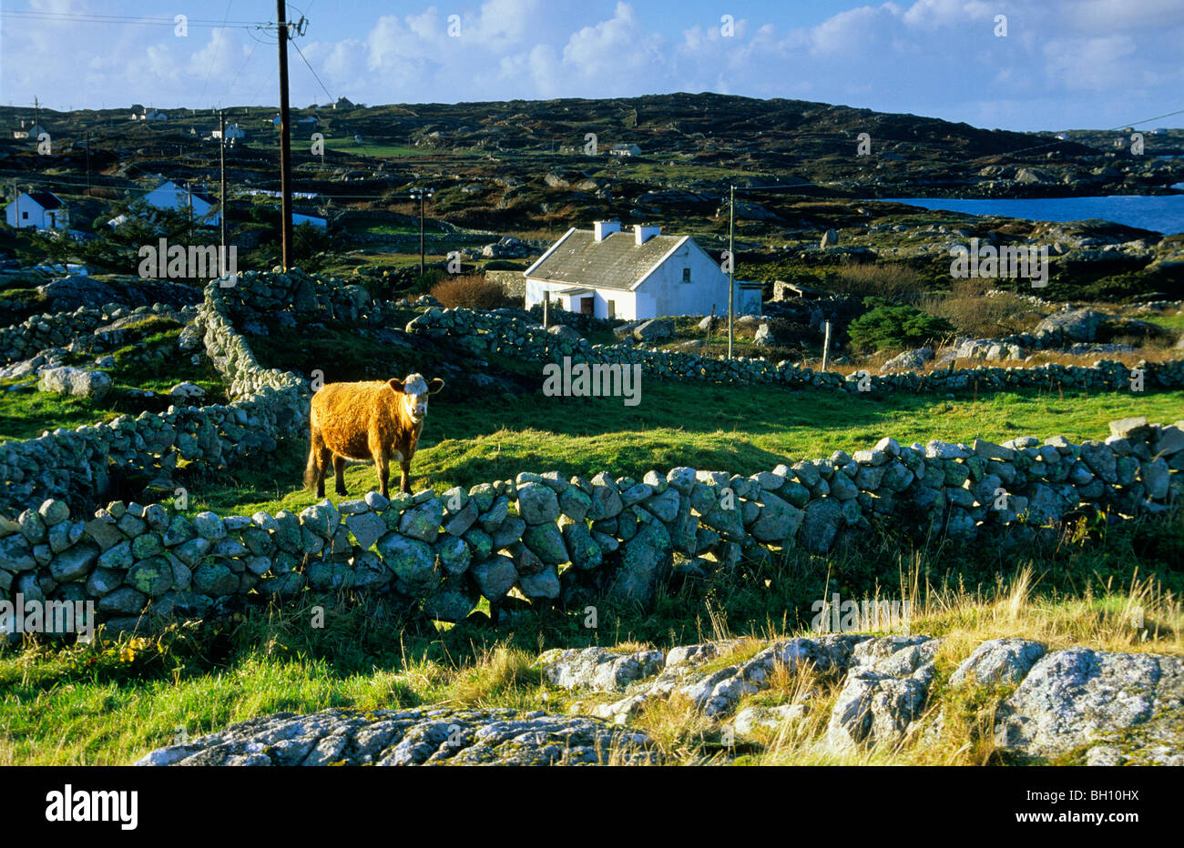 Lettermullen hi-res stock photography and images - Alamy