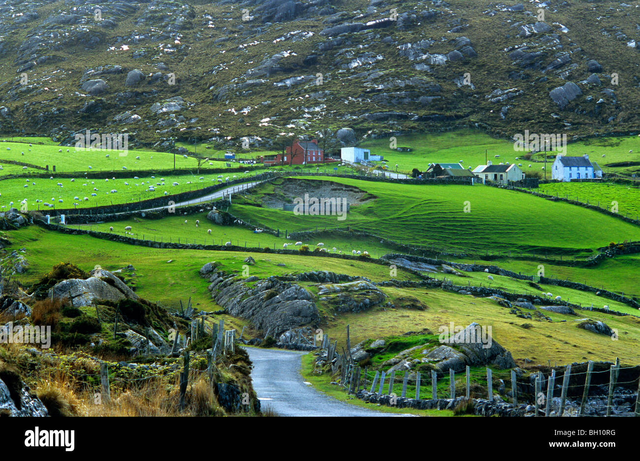 Rural landscape with farmhouses in the Ring of Beara, near Allihies, Co ...
