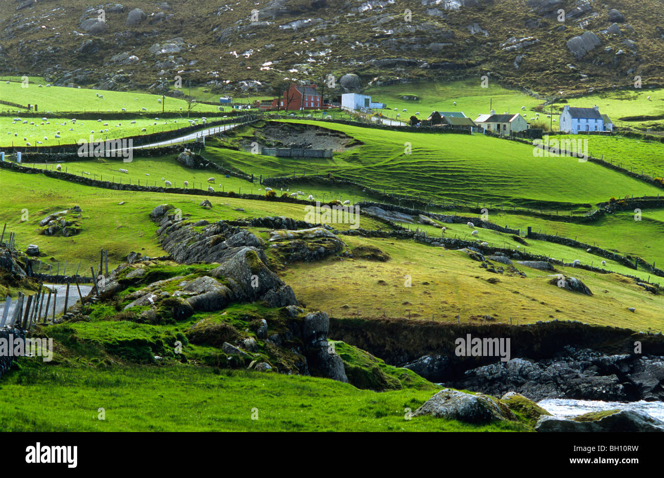 Rural landscape with farmhouses in the Ring of Beara, near Allihies, Co ...