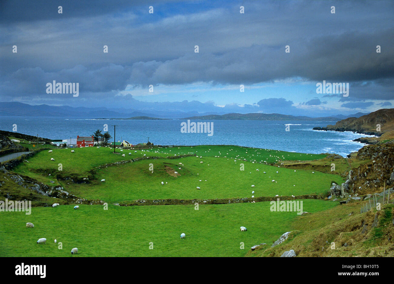 Rural landscape with farmhouses in the Ring of Beara, near Allihies, Co ...