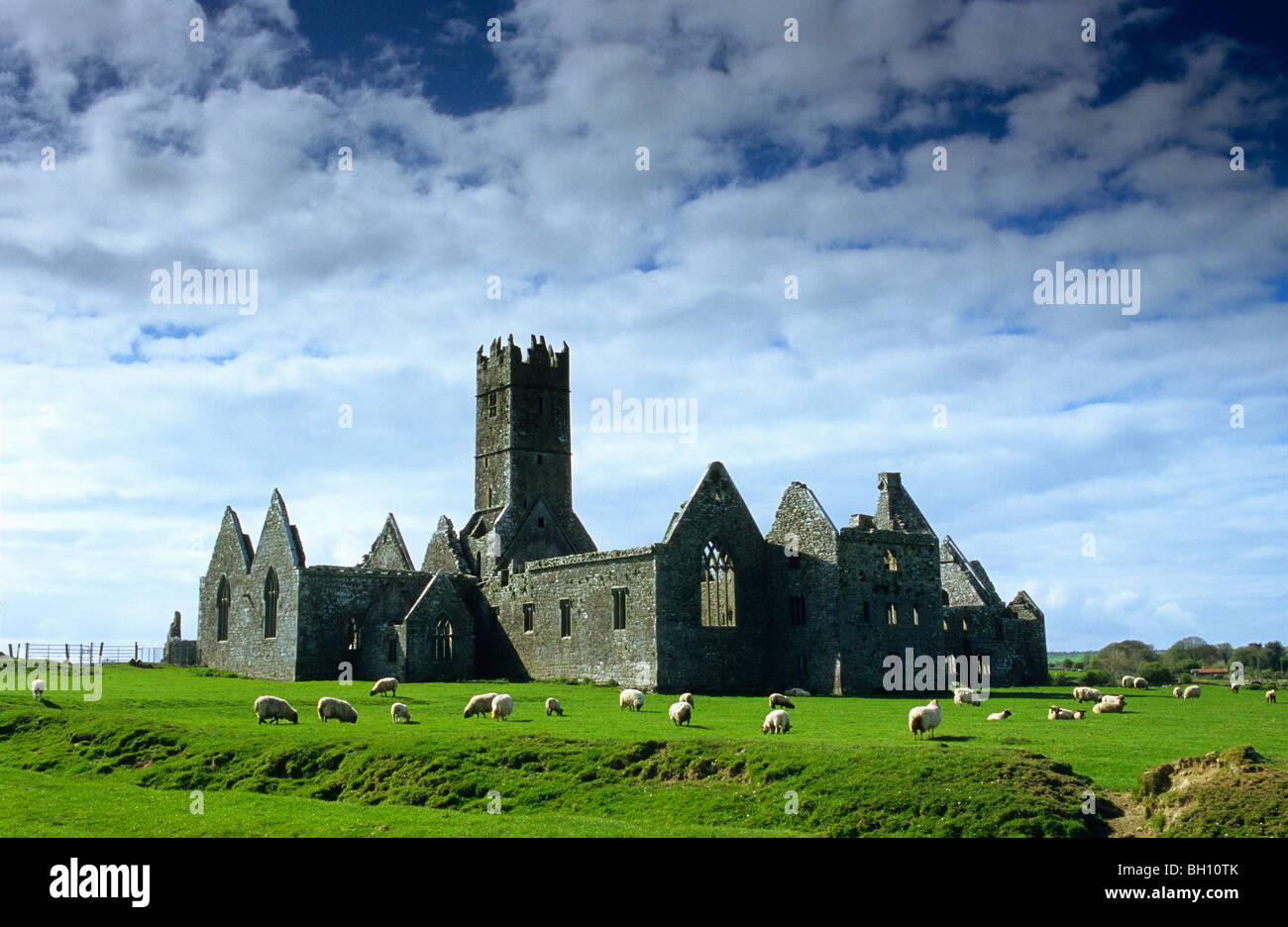 Ruins of Ross Abbey near Headford, Connemara, County Galway, Ireland ...