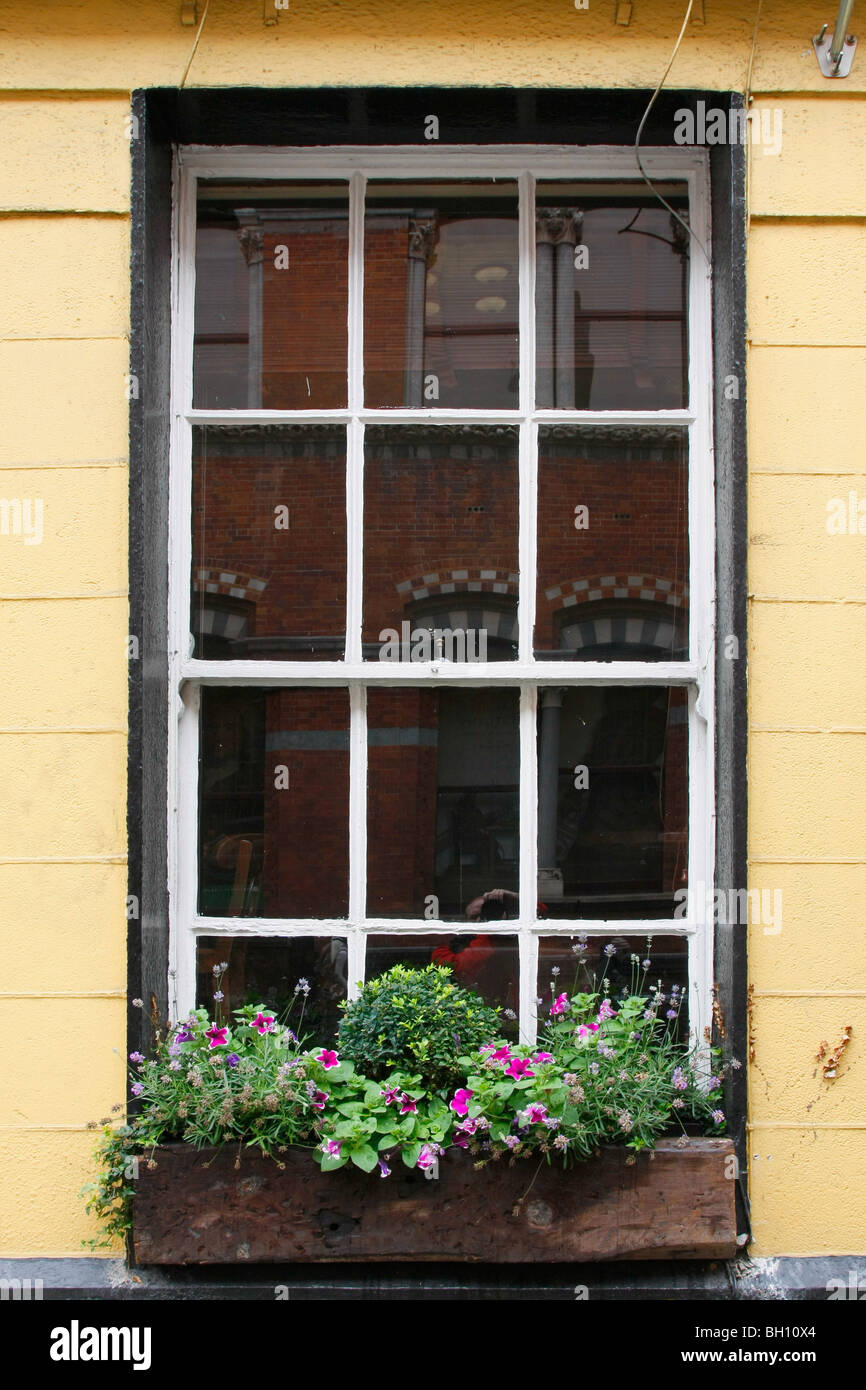 Typical Georgian window in Dublin, Eire Stock Photo - Alamy