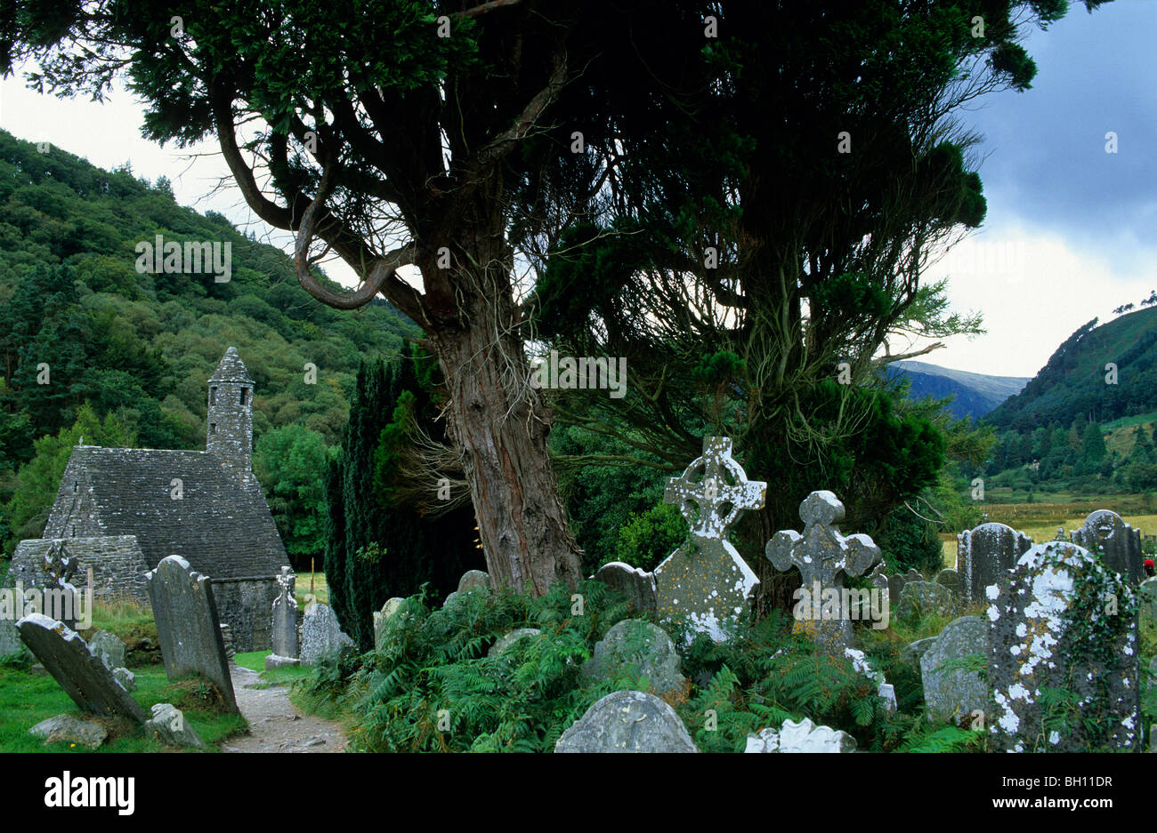 Gravestone under the trees hi-res stock photography and images - Alamy