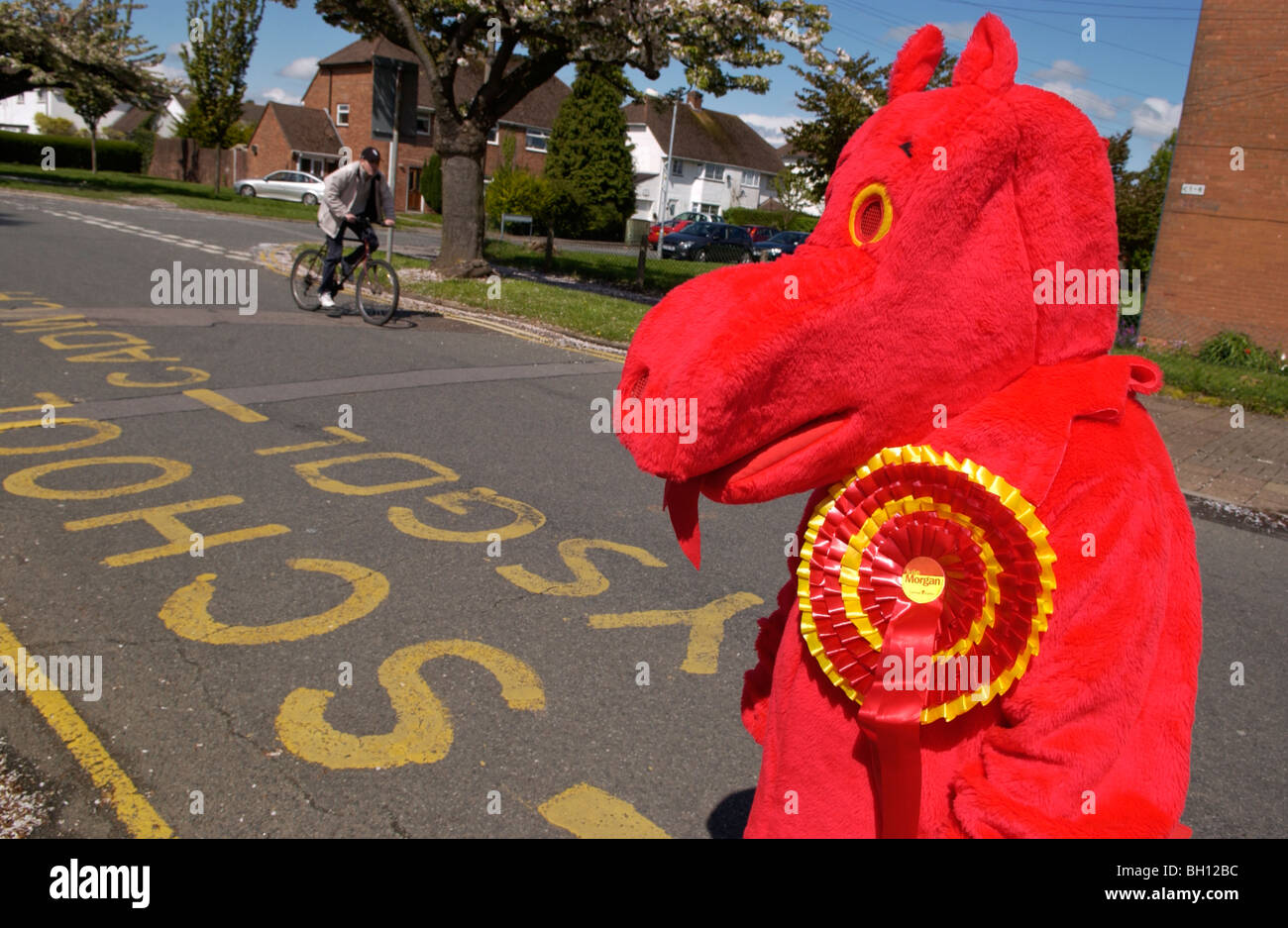 Labour Party Welsh red dragon with rosette campaigning on the streets ...