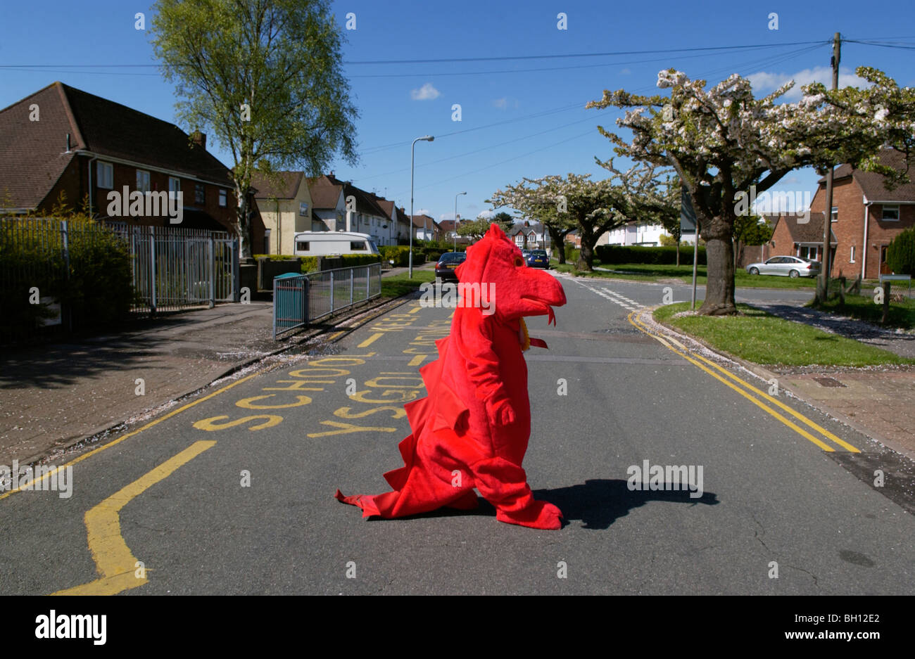 Labour Party Welsh red dragon with rosette campaigning on the streets ...