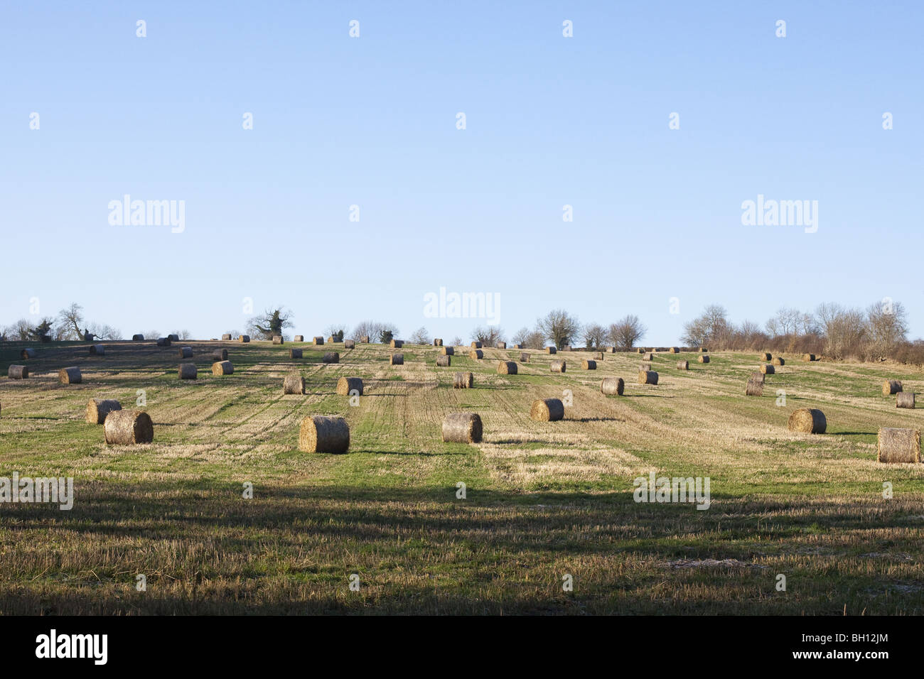 English winters hi-res stock photography and images - Alamy