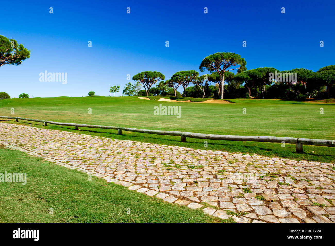 Beautiful landscape picture of a golf court with pine trees Stock Photo ...