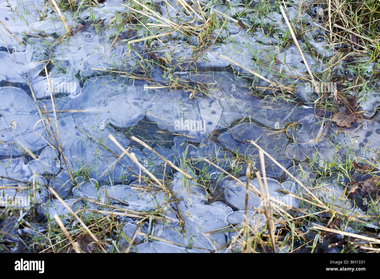 In the ice field hi-res stock photography and images - Alamy