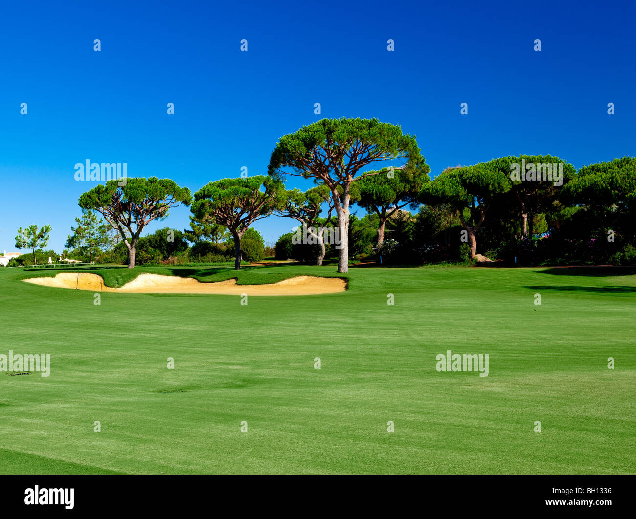 Court picture hi-res stock photography and images - Alamy
