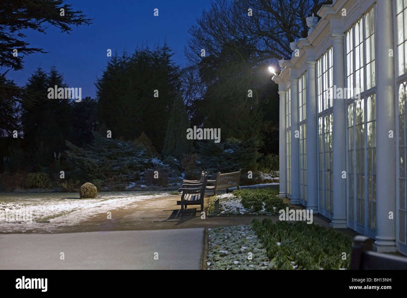 The camellia house before dawn, Wollaton Hall, Nottingham England UK ...