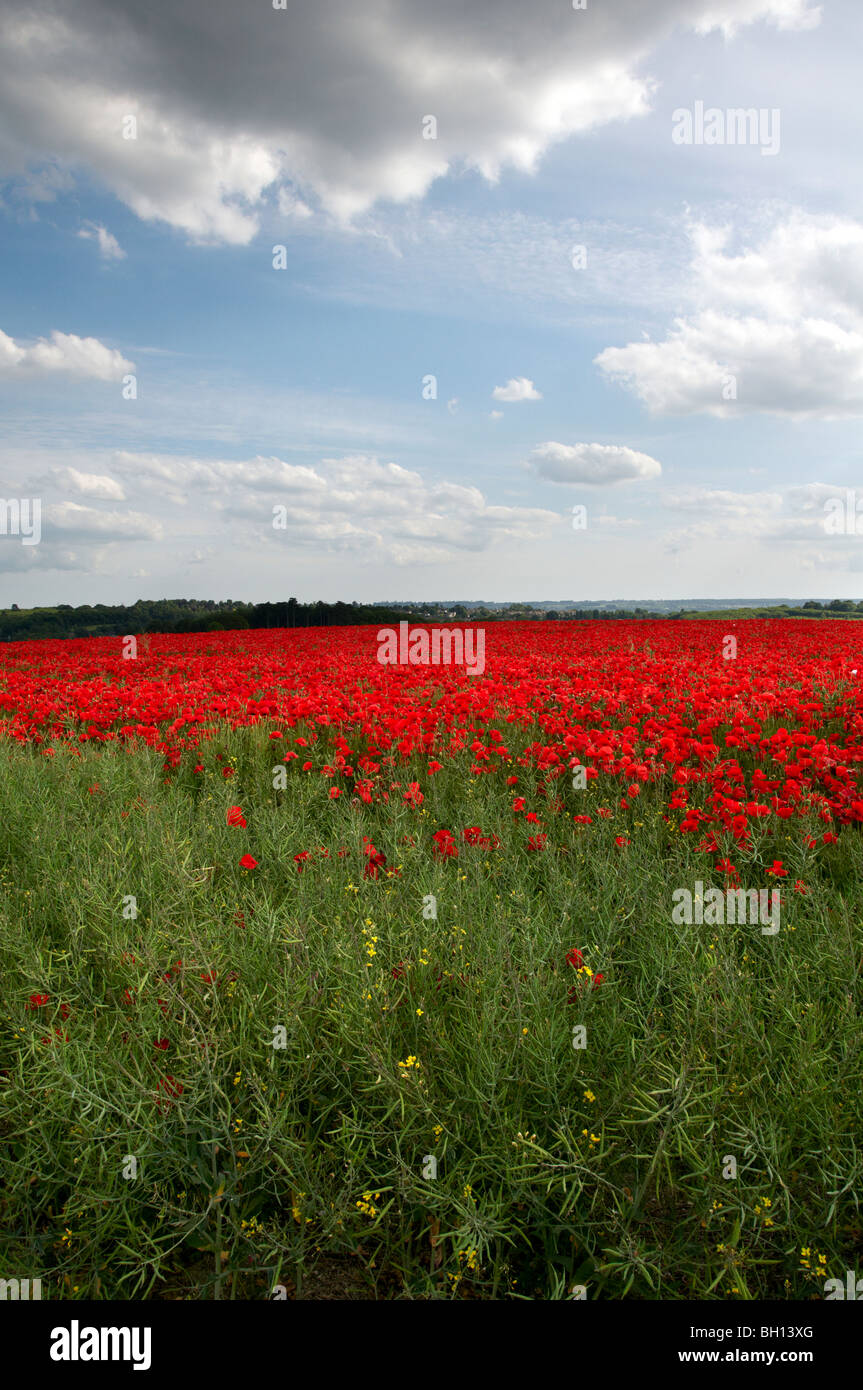 Beautiful kent countryside hi-res stock photography and images - Alamy