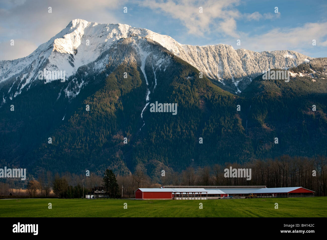 Cheam hi-res stock photography and images - Alamy