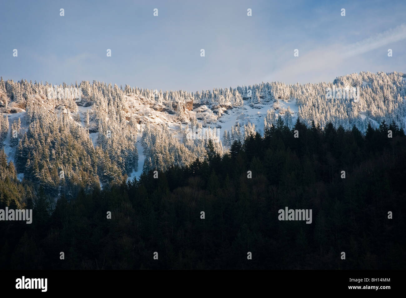 Cheam Lake Regional Nature Park. The snow line is evident on this ridge ...