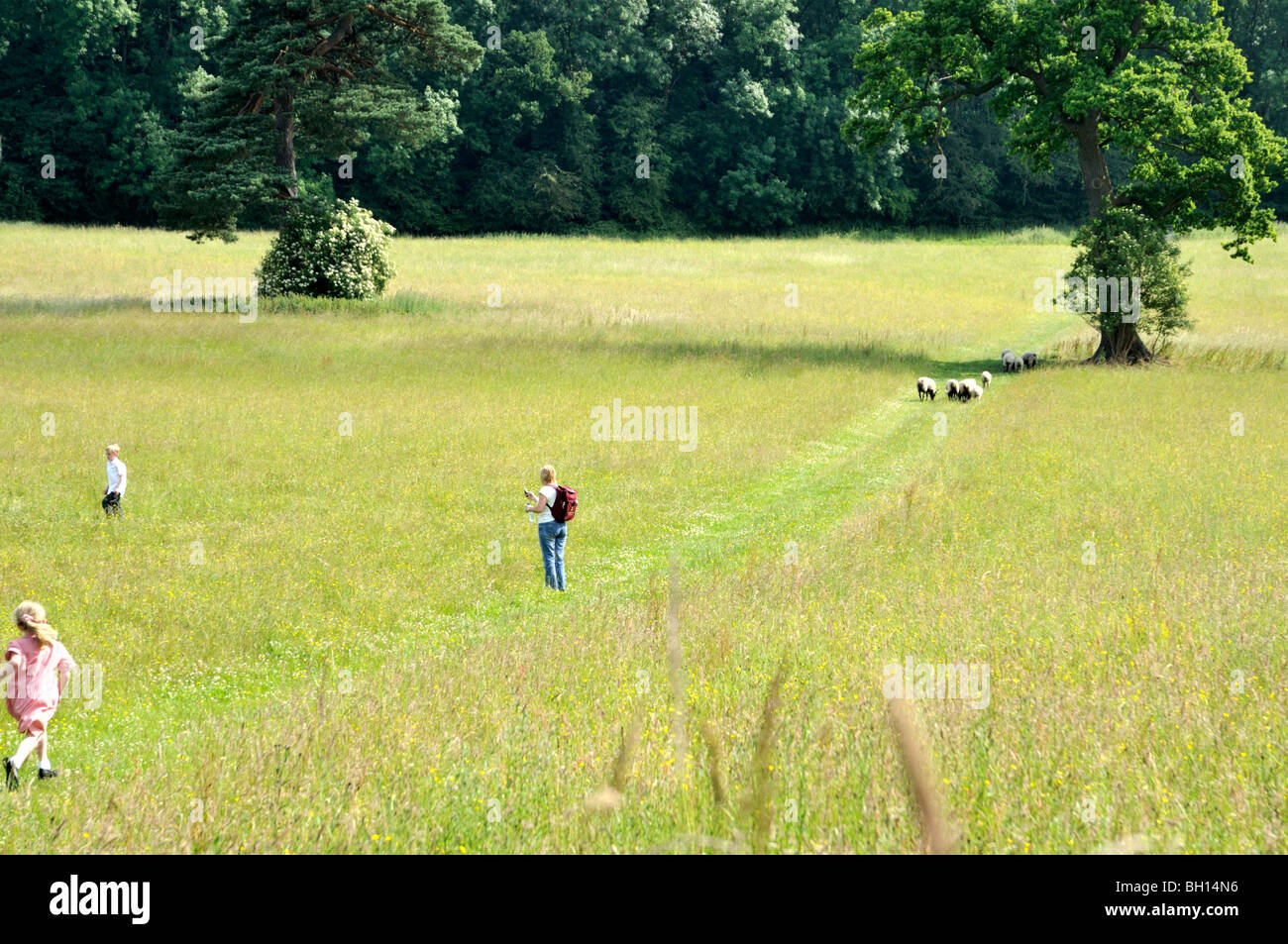 Spring june britain uk hi-res stock photography and images - Alamy