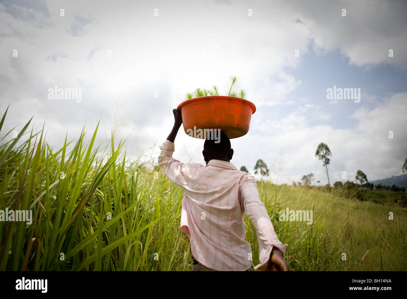 Rwenzori mountains hi-res stock photography and images - Alamy