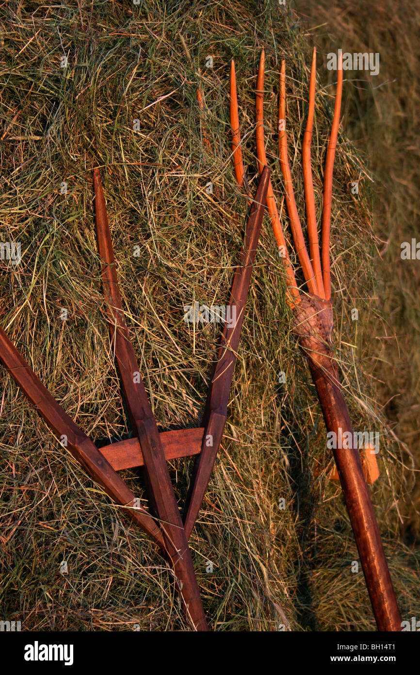 Hay forks hi-res stock photography and images - Alamy