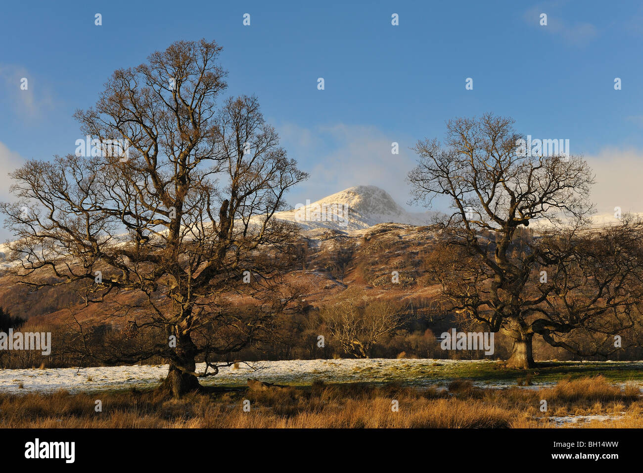 Trees Distant High Resolution Stock Photography and Images - Alamy
