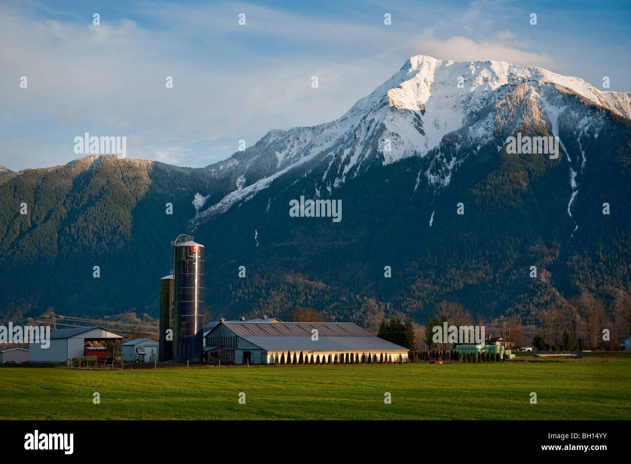 Farmland dominates the landscape of the Fraser Valley, British Columbia ...