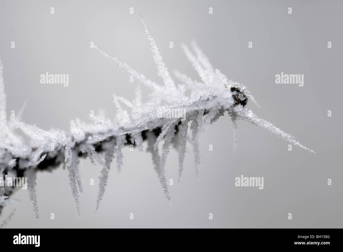 Spikey frozen ice hi-res stock photography and images - Alamy