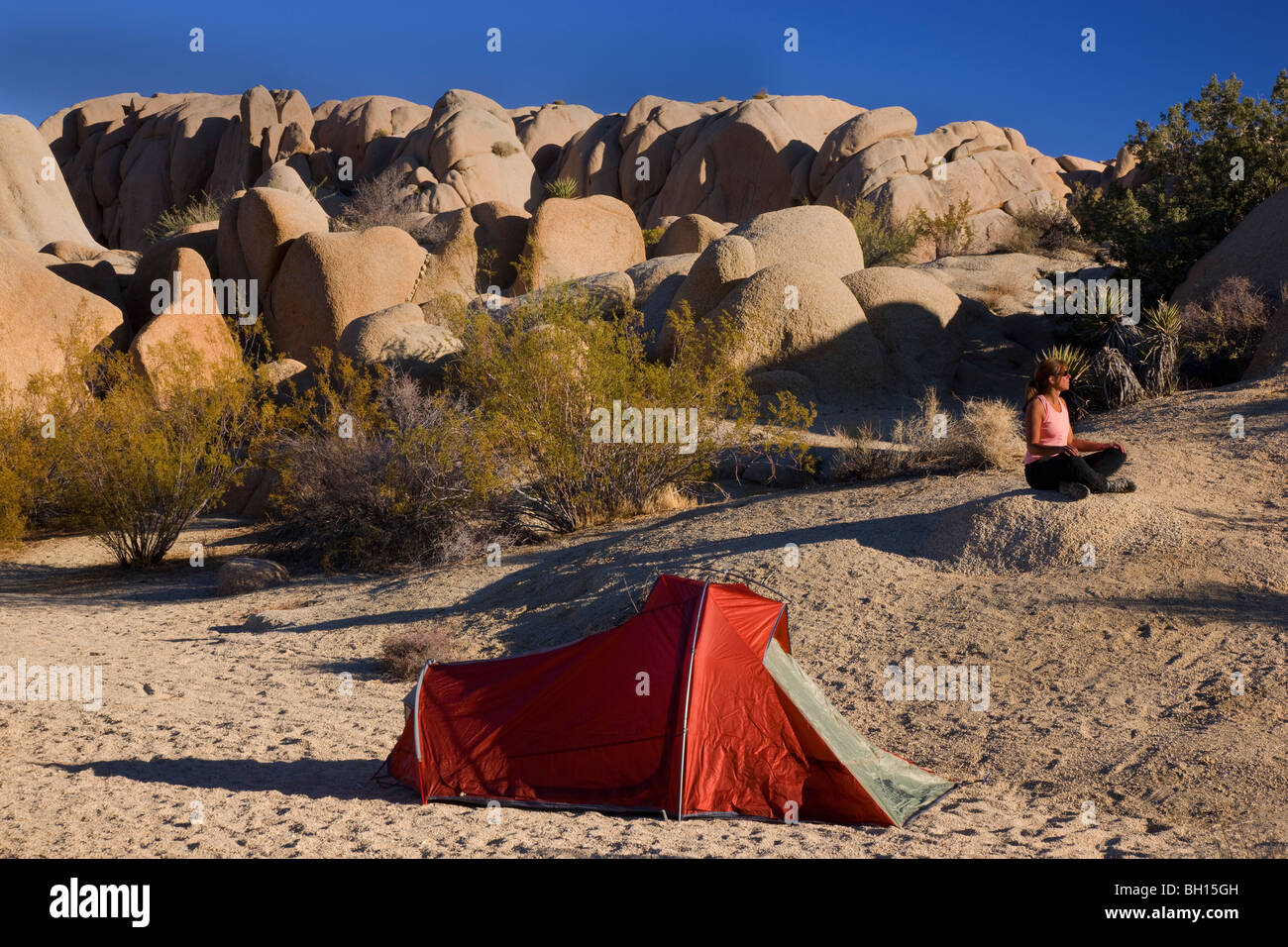 Jumbo Rocks Campground, Joshua Tree National Park, California. (model ...