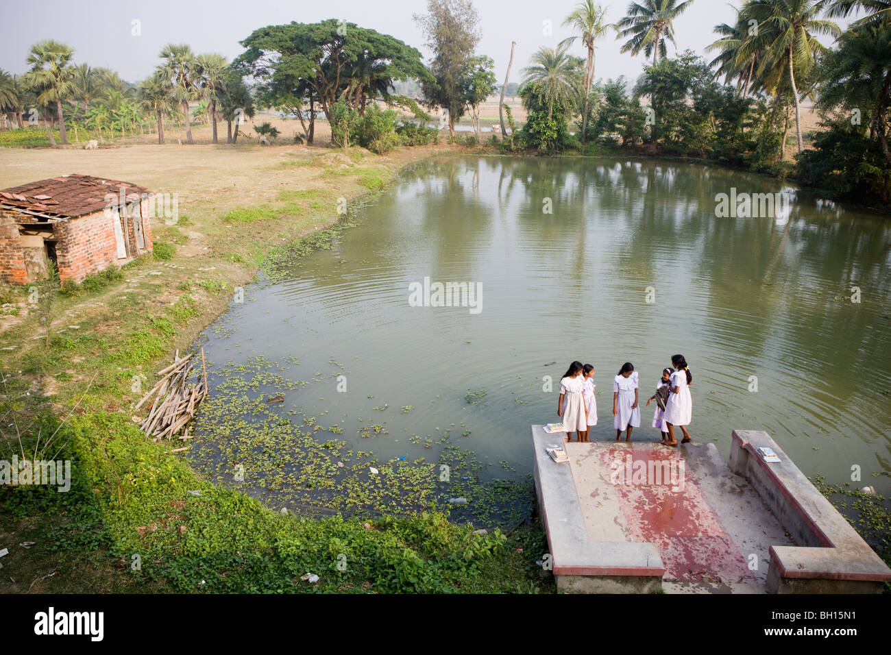 School pond hi-res stock photography and images - Alamy