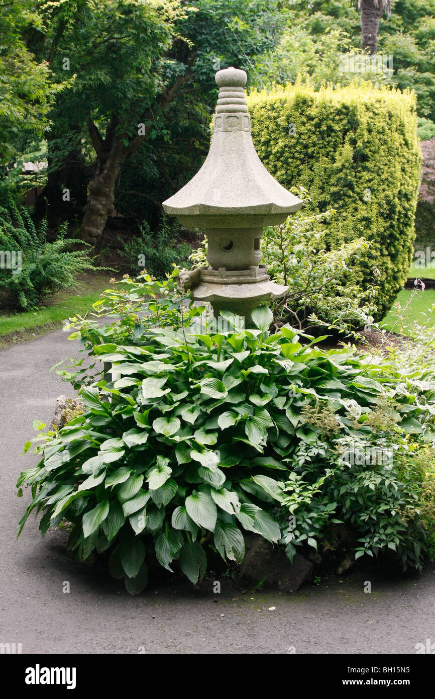 Hosta gardens hi-res stock photography and images - Alamy