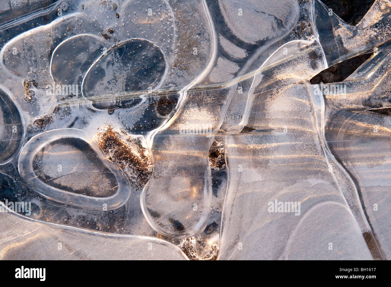 Sun on a frozen puddle Stock Photo - Alamy