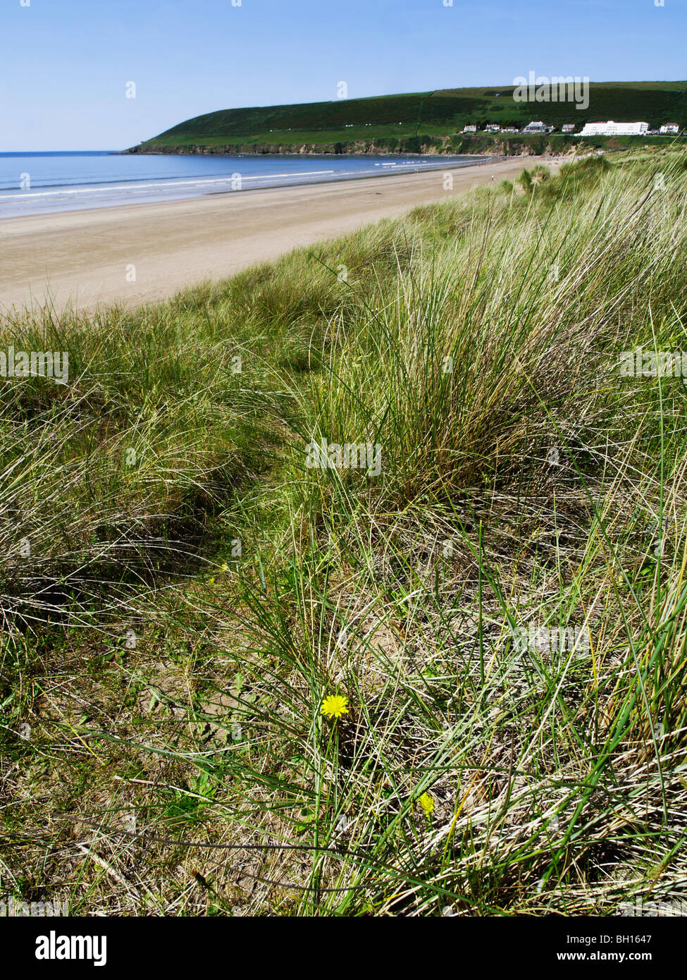 sand dunes and beach at saunton sands devon england uk Stock Photo - Alamy