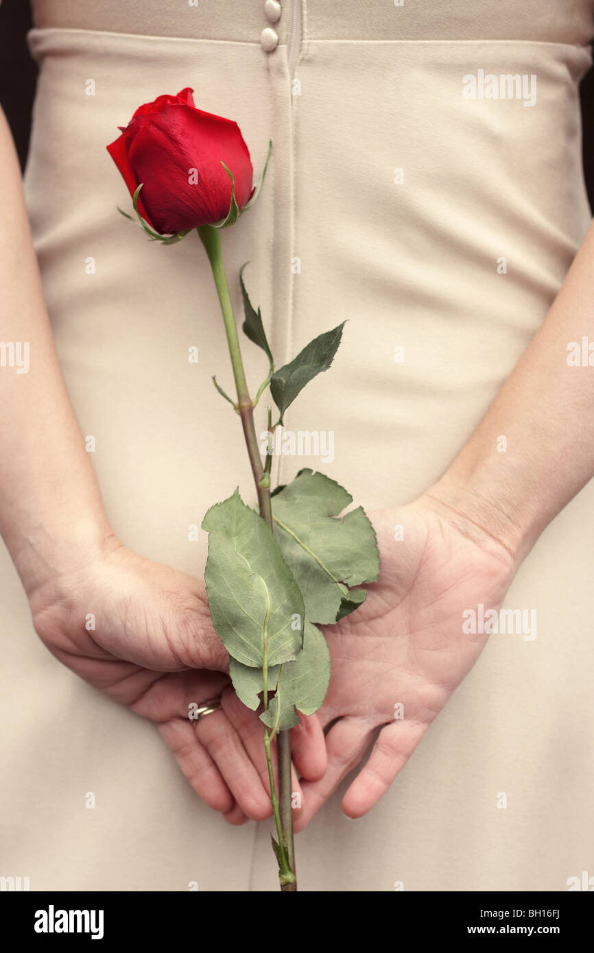 Woman in Formal Dress Holding a Red Rose Behind Her Back Stock Photo ...